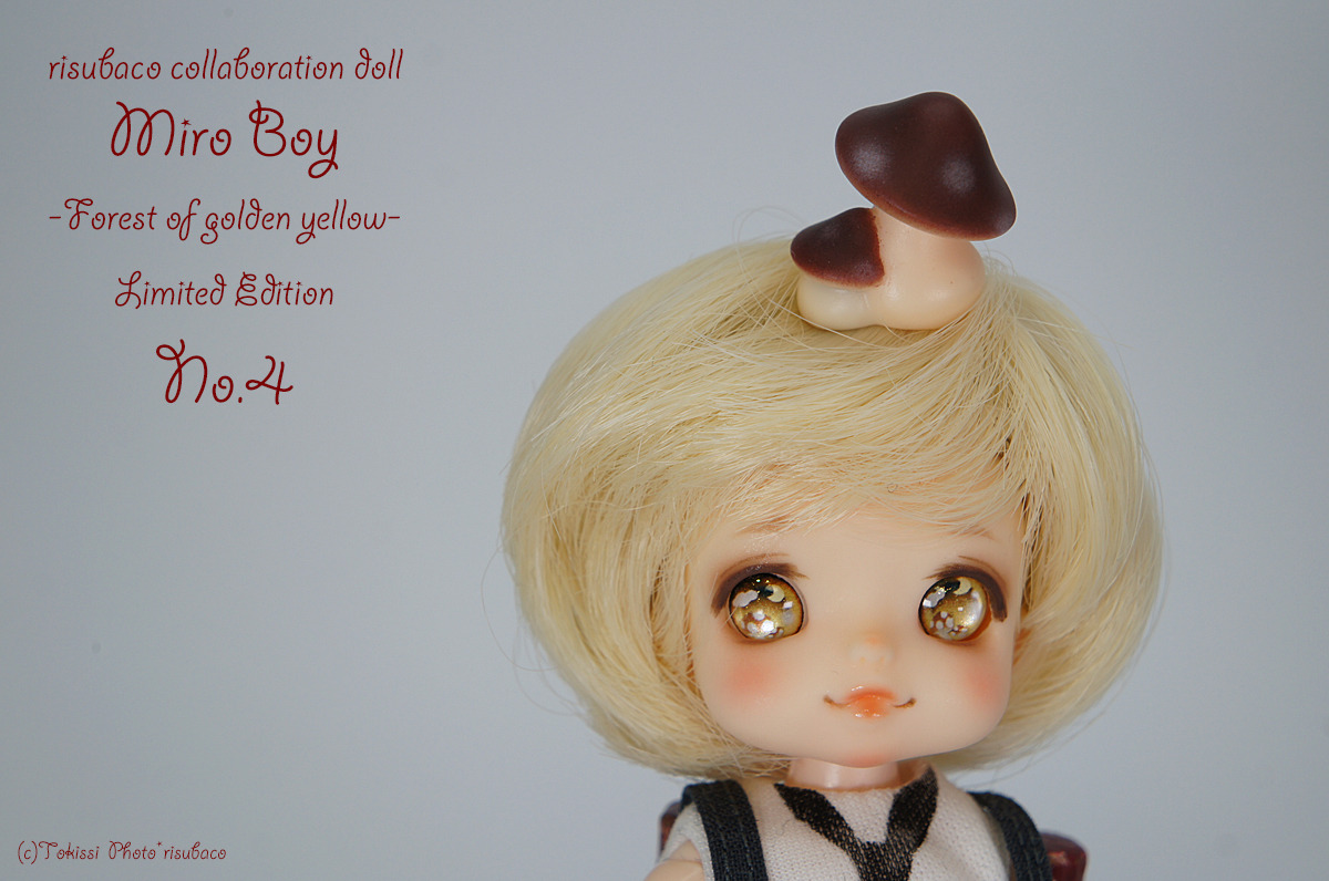 【No.4】Tokissi “MiRo Boy” -Forest of golden yellow- | risubaco
