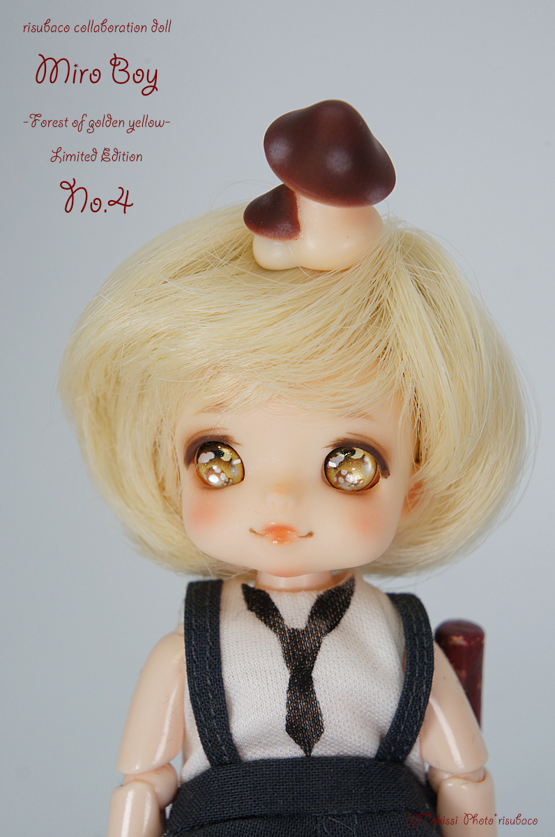 【No.4】Tokissi “MiRo Boy” -Forest of golden yellow- | risubaco
