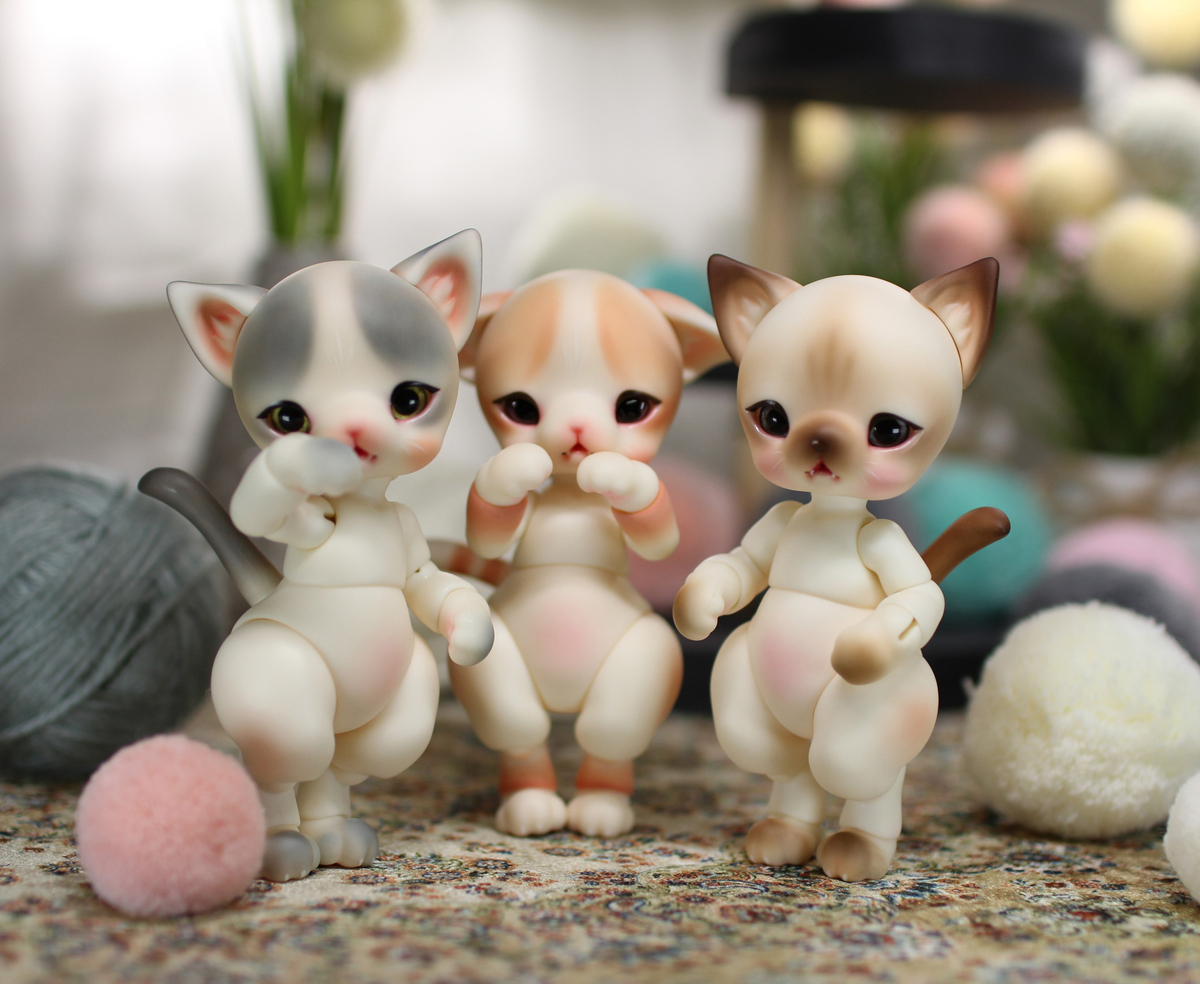 ANGELOGUE社との日本正規代理店契約締結のご案内 | risubaco