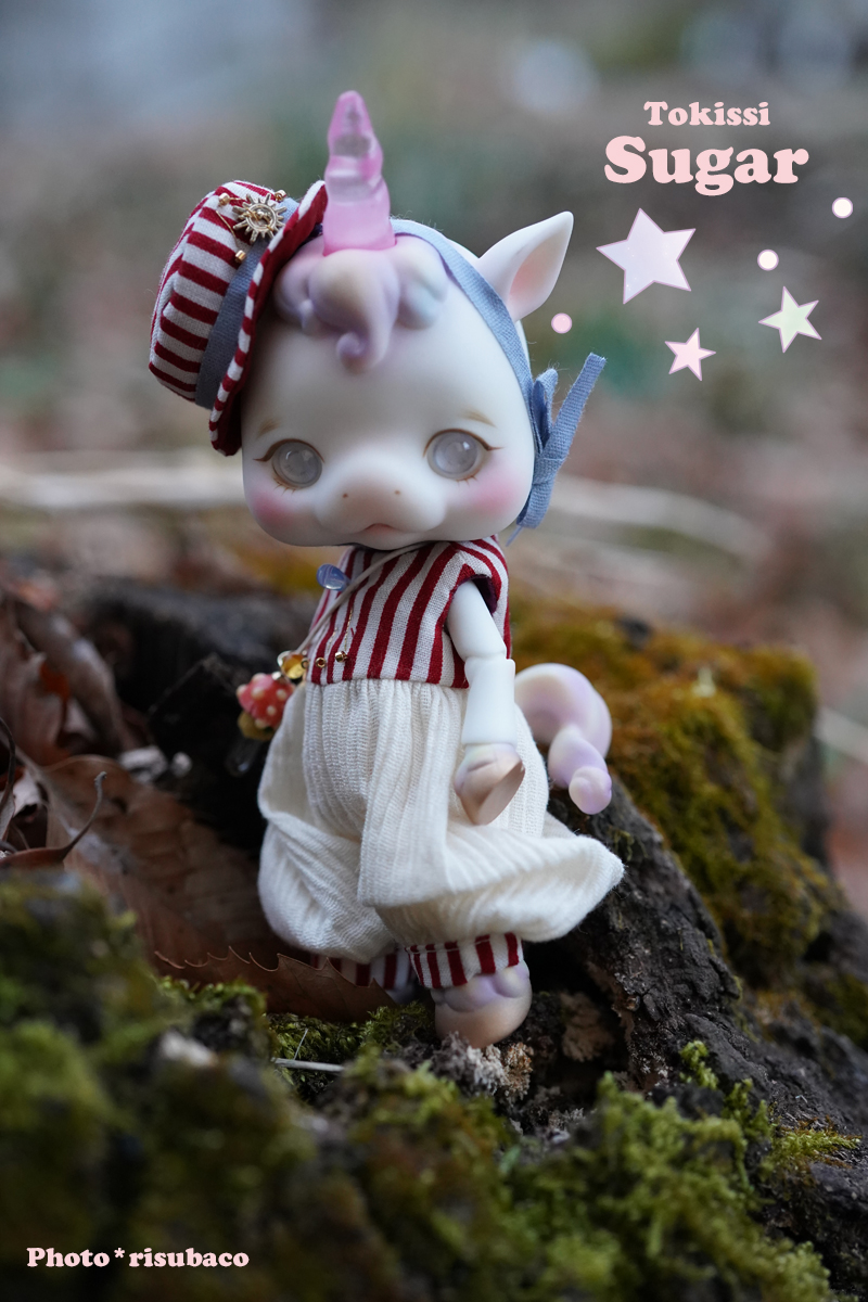 Tokissi “Sugar” 受注のご案内 | risubaco
